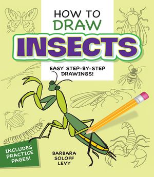 How to Draw Insects