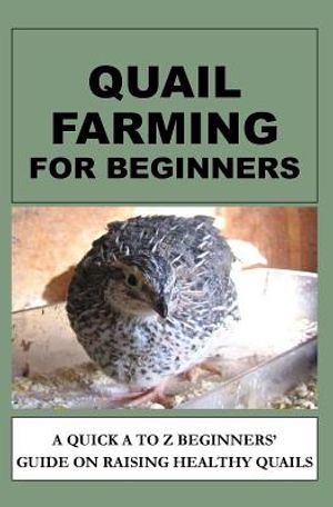 Quail Farming For Beginners: A Quick A To Z Beginners' Guide On Raising ...