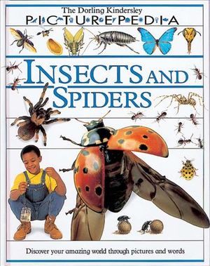 Insects and Spiders