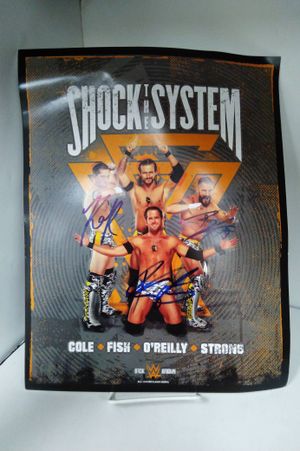 Shock the System WWE Signed Poster